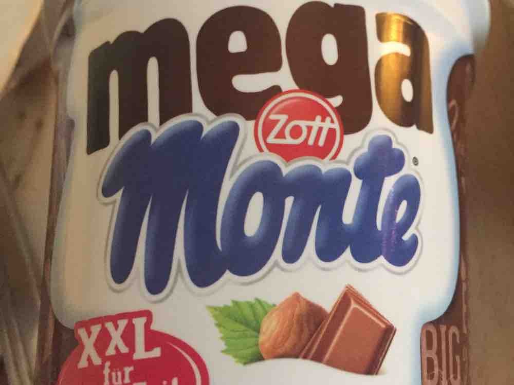 Zott, Mega Monte Kalorien - Pudding - Fddb